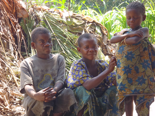 Okapi Wildlife Reserve in Congo - Attractions and Things to Do