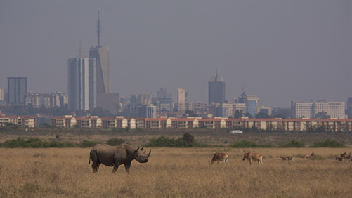 Tourist Attractions in Nairobi - Hangout Places and Thinks to Do